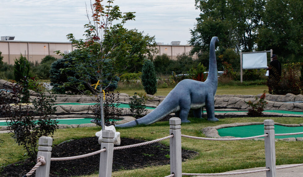 Apex Sports & Entertainment | The ultimate destination for sports and ...